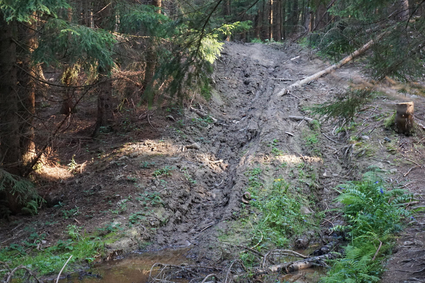 Túra: Babia hora - okruh z Oravskej Polhory | HIKING.SK