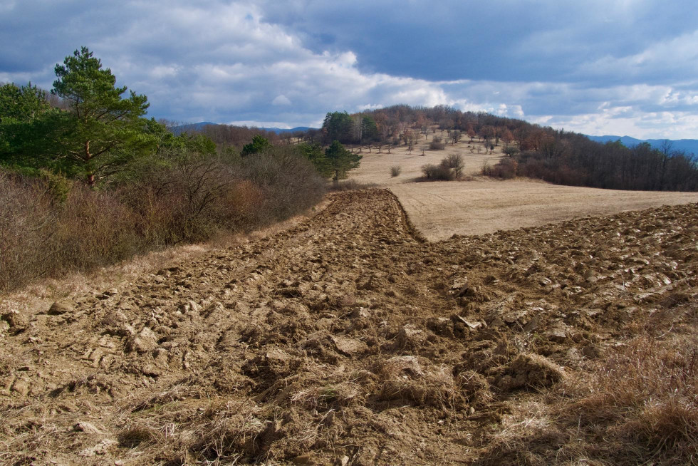 Túra: Náučný chodník Beckovské Skalice | HIKING.SK