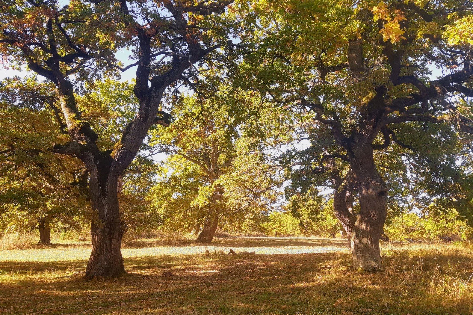 Výber: Desať najkrajších jesenných túr v bližšom aj vzdialenejšom okolí ...