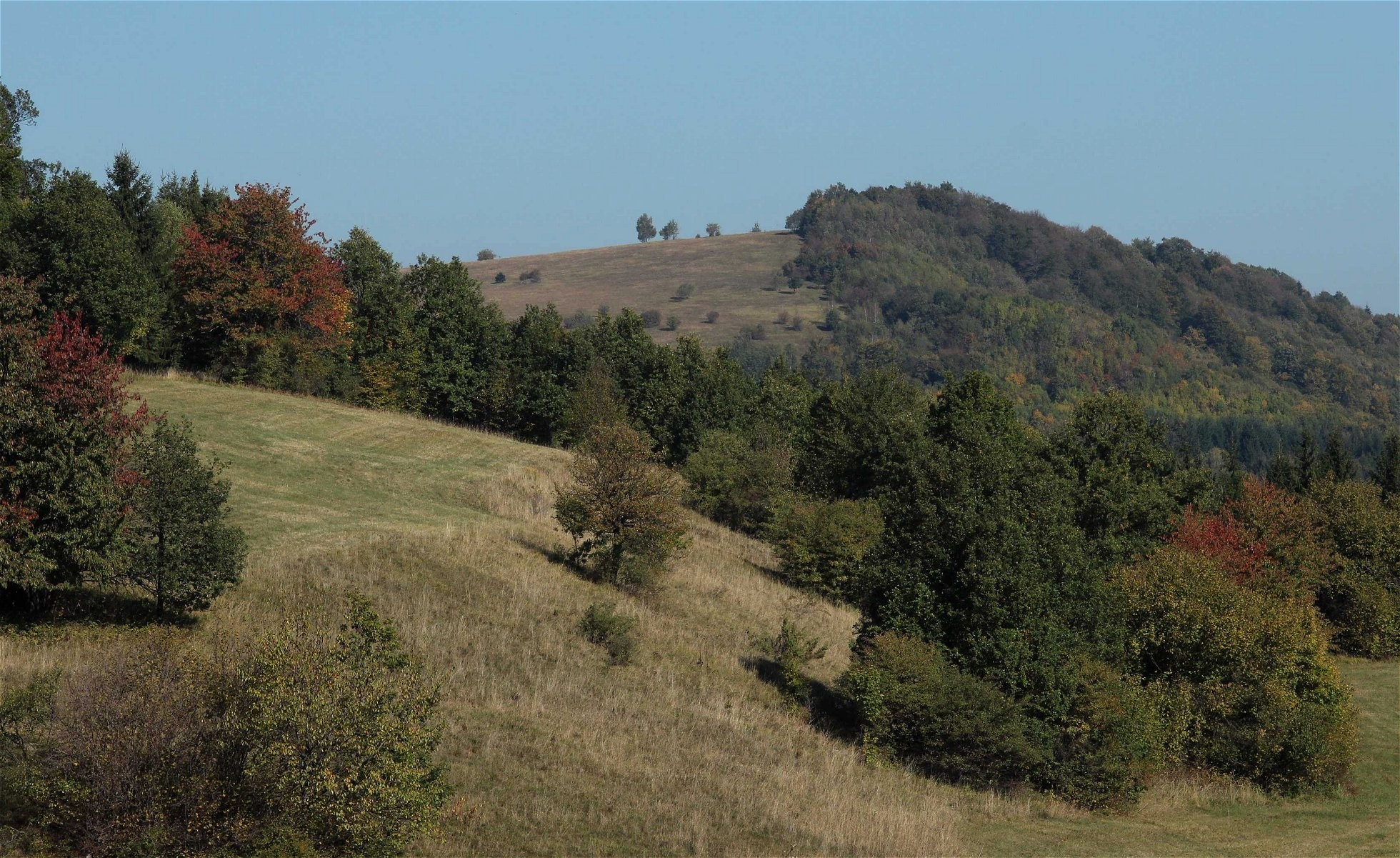 Výber: Pohronský Inovec - pohorie skál, lúk a štálov | HIKING.SK