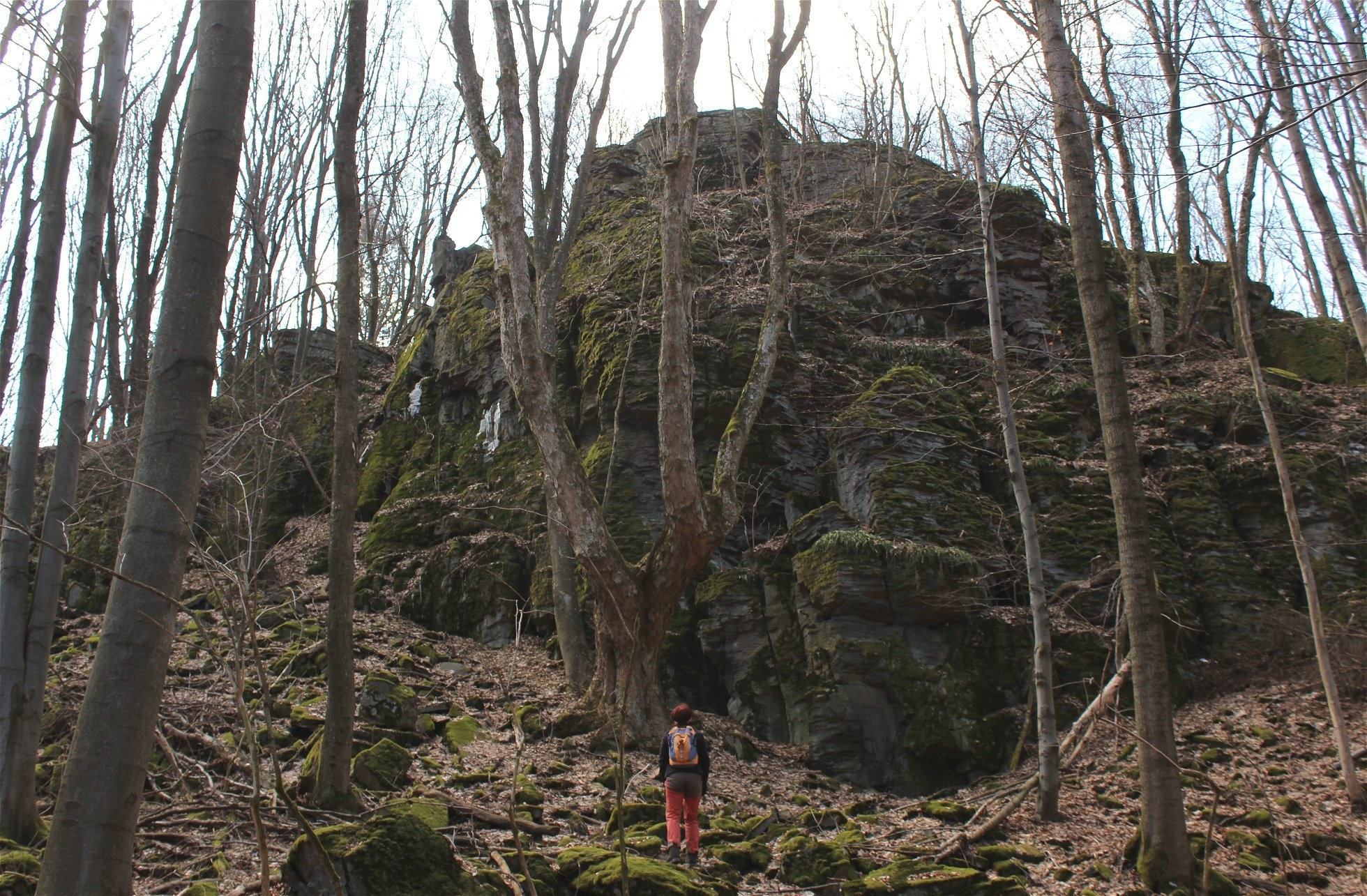 Výber: Pohronský Inovec - pohorie skál, lúk a štálov | HIKING.SK
