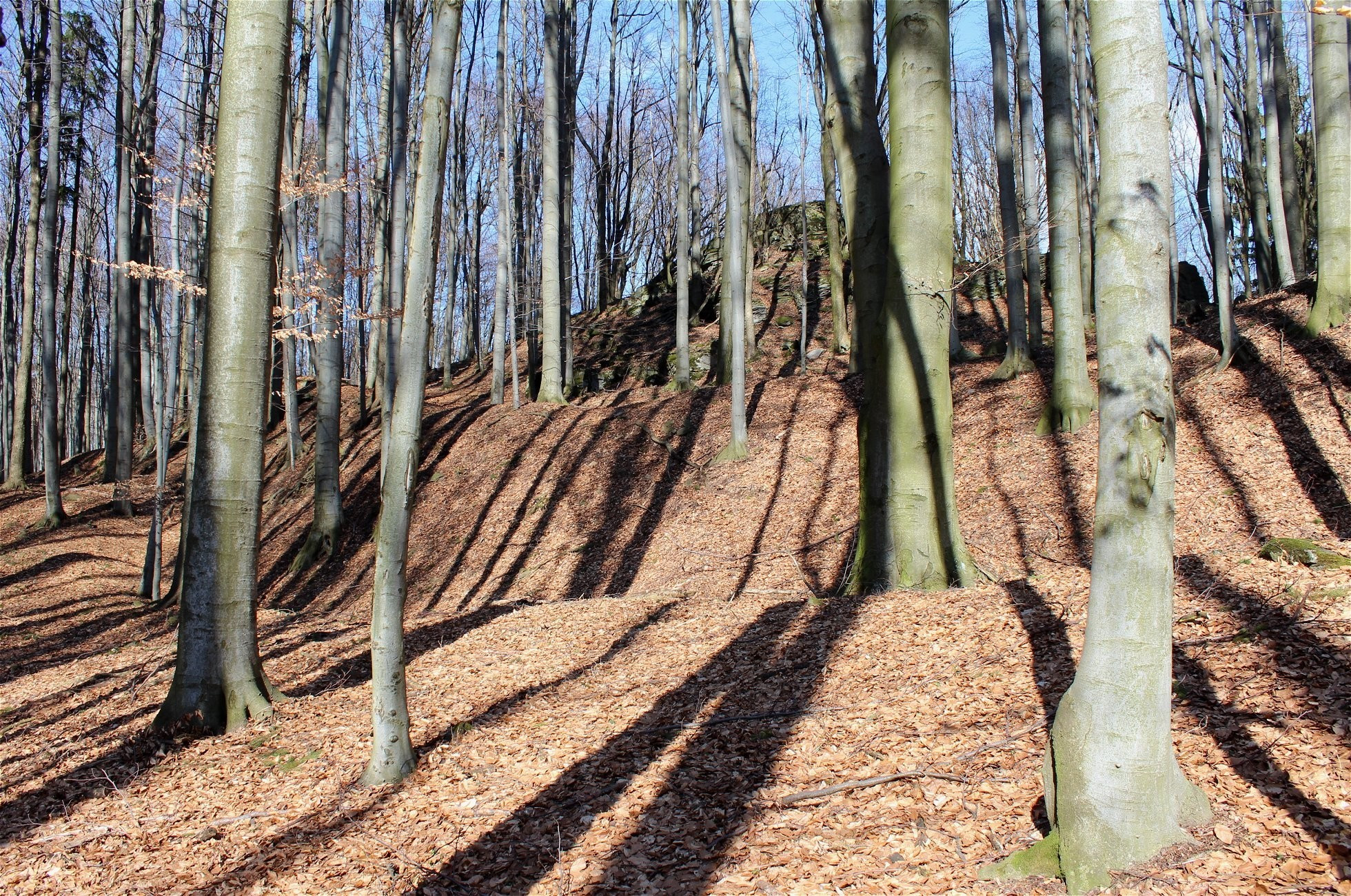Výber: Pohronský Inovec - pohorie skál, lúk a štálov | HIKING.SK
