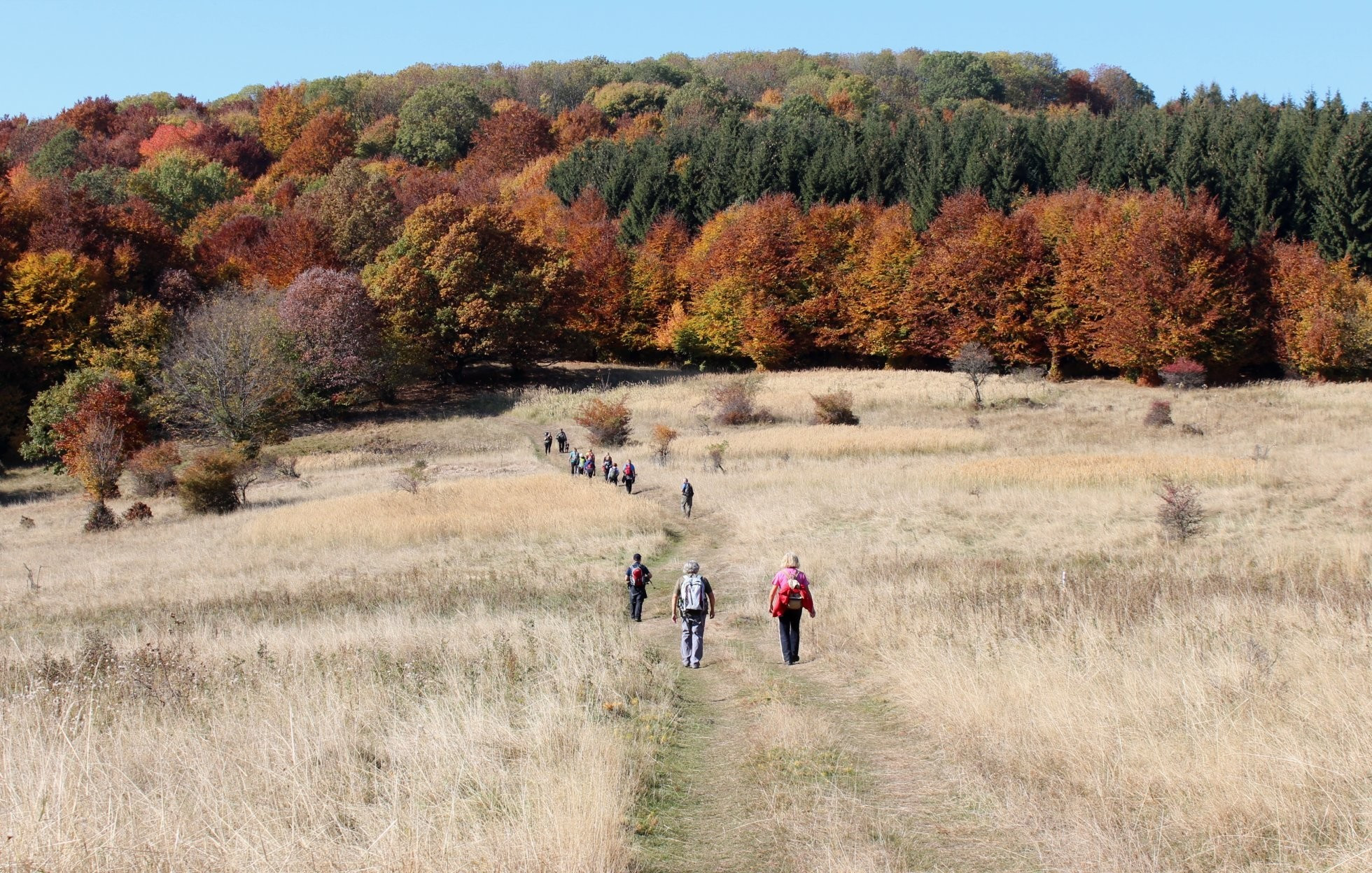 Výber: Pohronský Inovec - pohorie skál, lúk a štálov | HIKING.SK