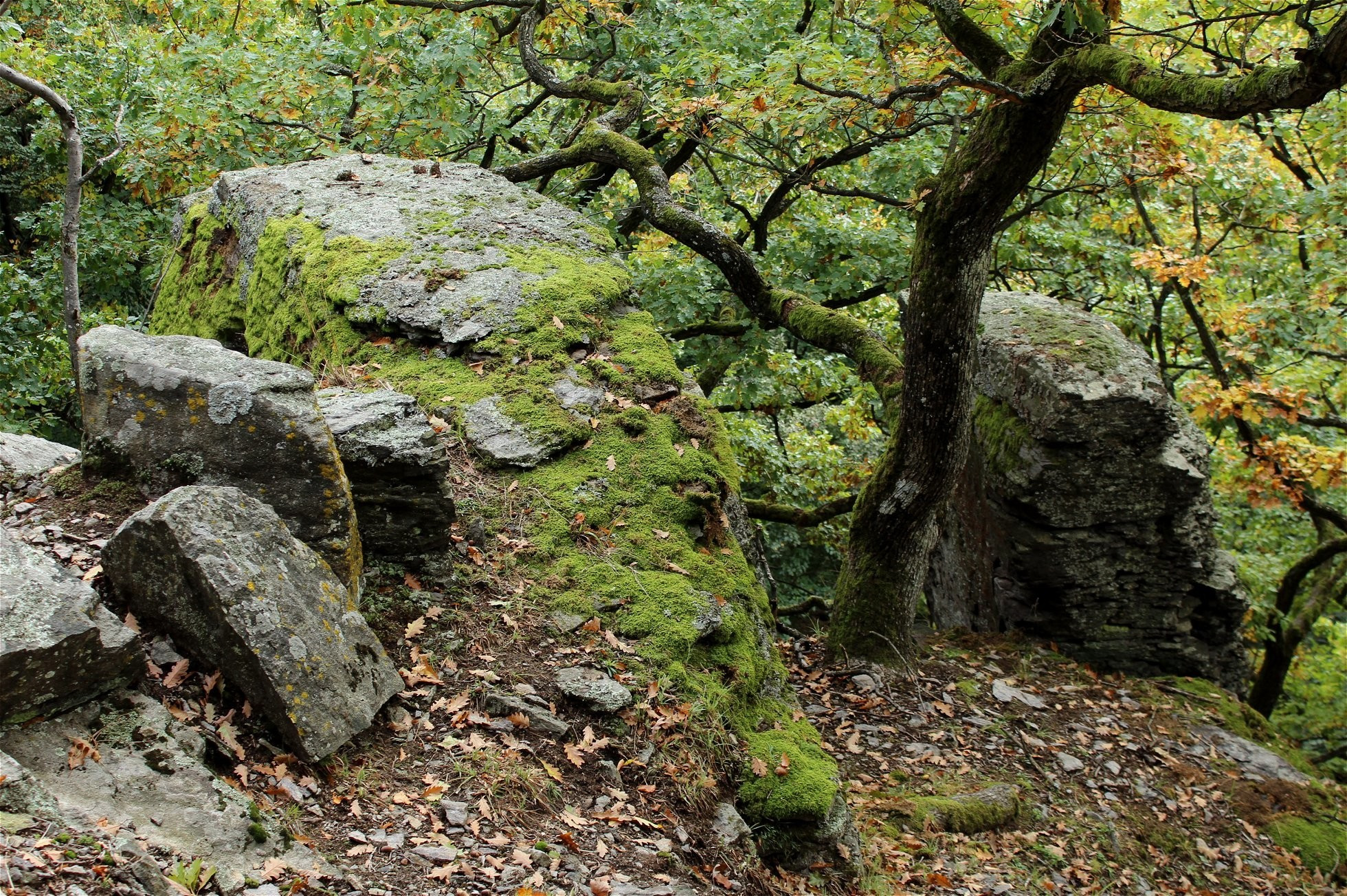 Výber: Pohronský Inovec - pohorie skál, lúk a štálov | HIKING.SK