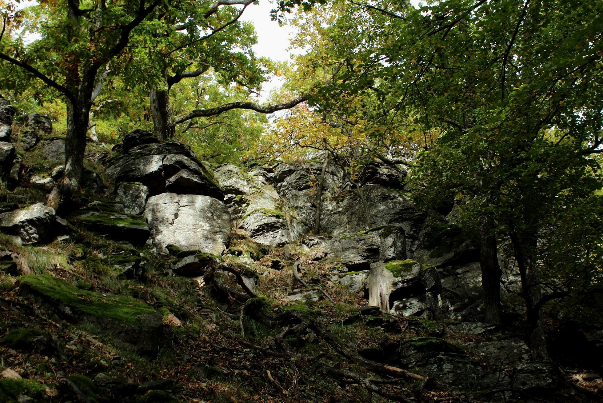 Výber: Pohronský Inovec - pohorie skál, lúk a štálov | HIKING.SK