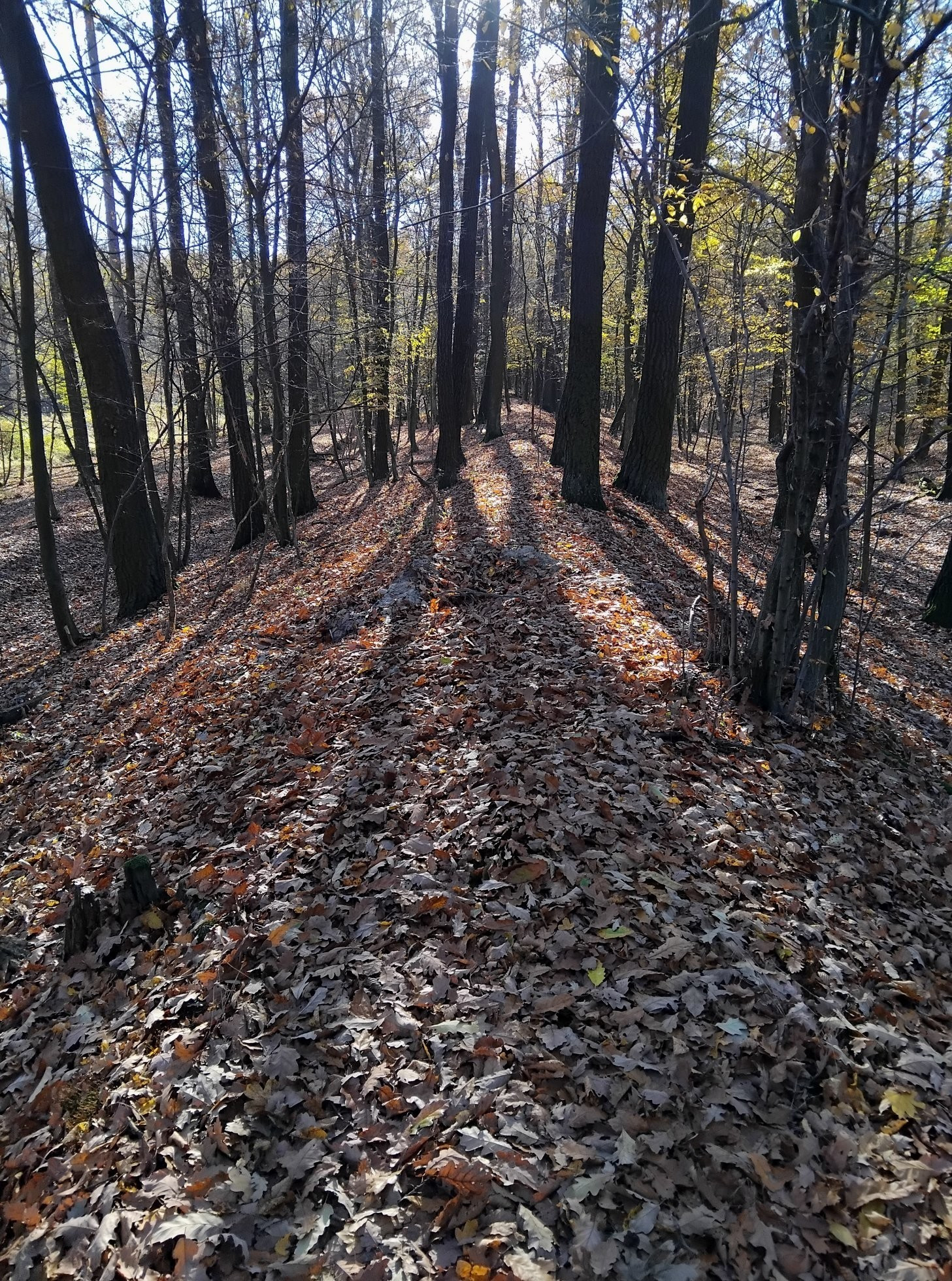 Výber: Pohronský Inovec - pohorie skál, lúk a štálov | HIKING.SK