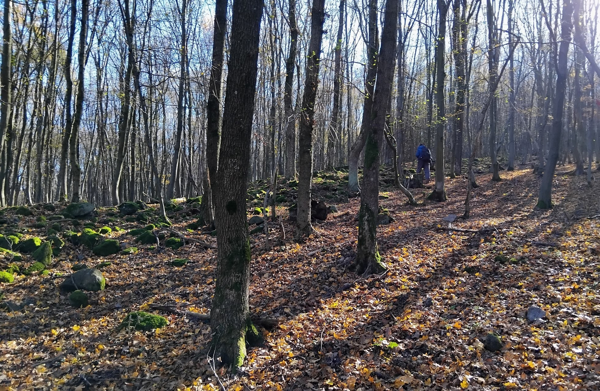 Výber: Pohronský Inovec - pohorie skál, lúk a štálov | HIKING.SK