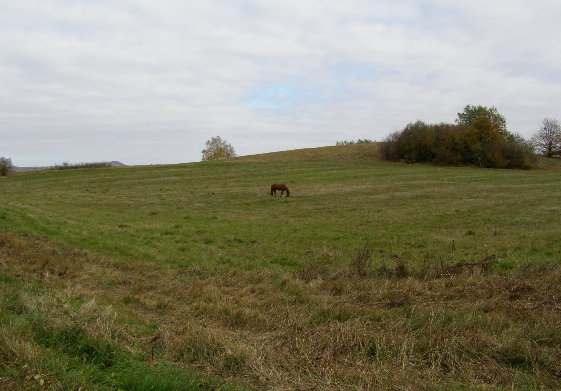 Výber: Pohronský Inovec - pohorie skál, lúk a štálov | HIKING.SK