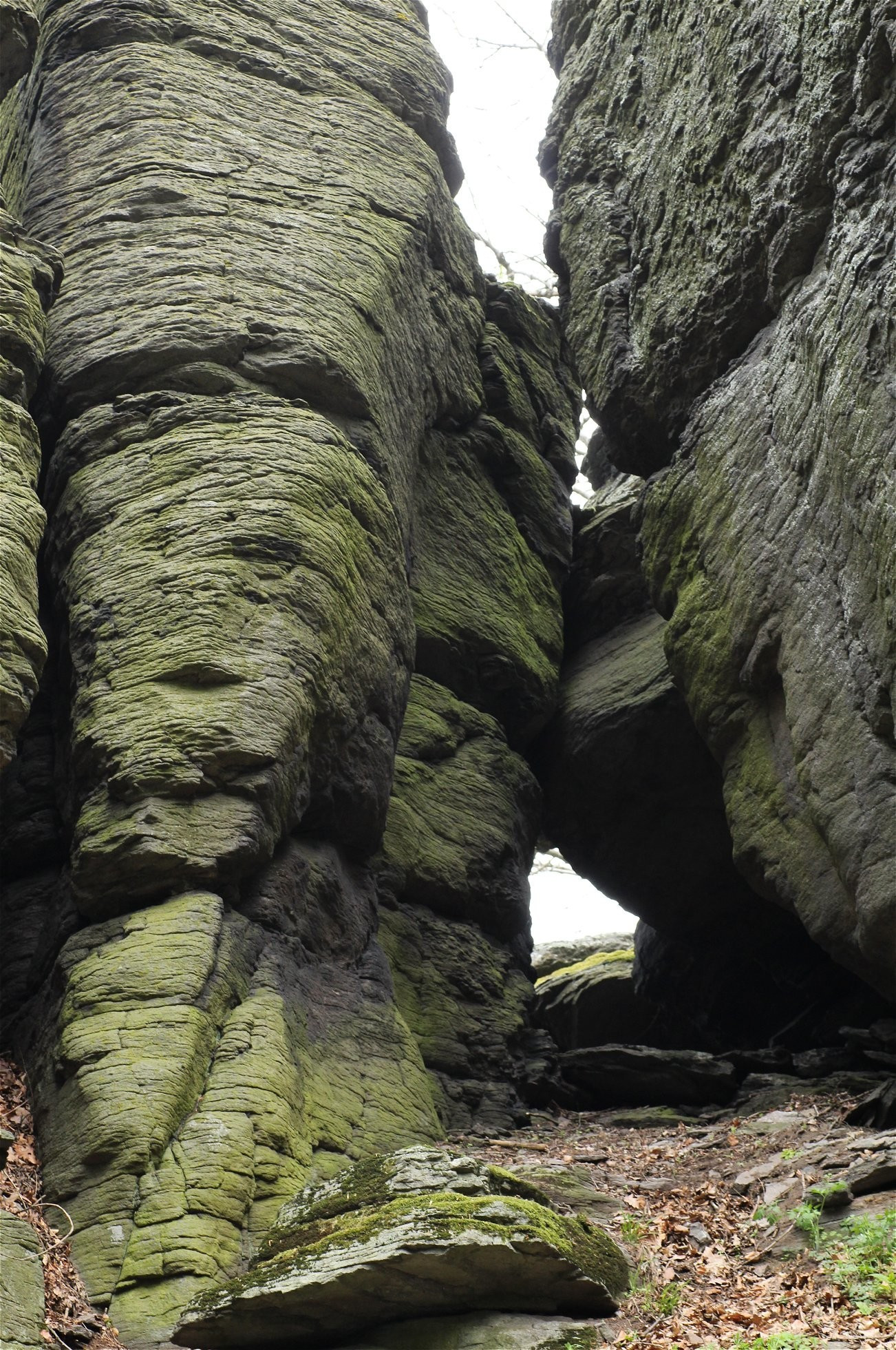 Výber: Pohronský Inovec - pohorie skál, lúk a štálov | HIKING.SK