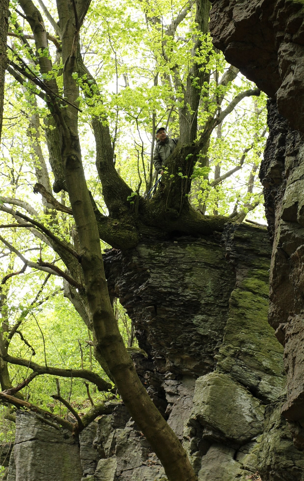 Výber: Pohronský Inovec - pohorie skál, lúk a štálov | HIKING.SK