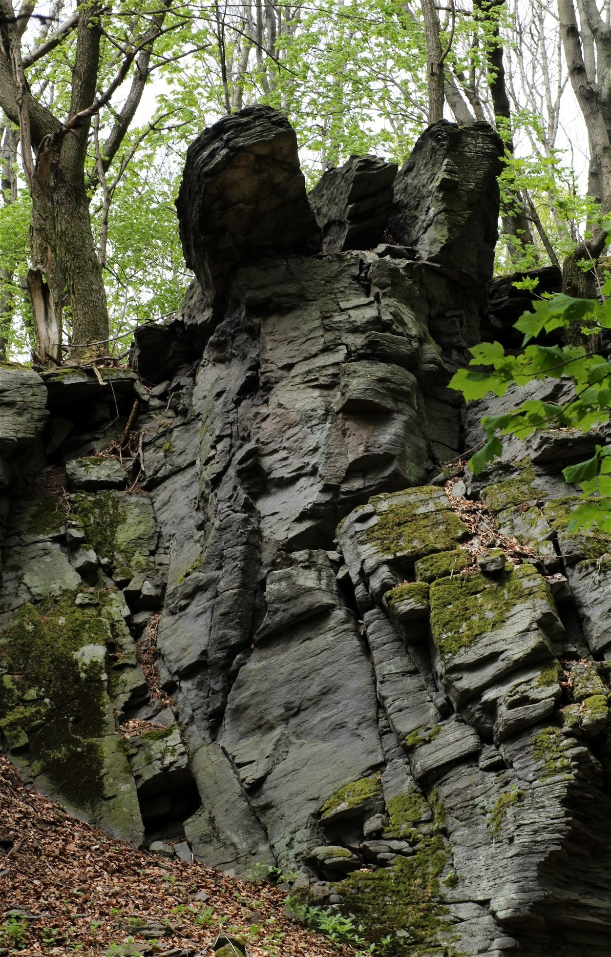 Výber: Pohronský Inovec - pohorie skál, lúk a štálov | HIKING.SK