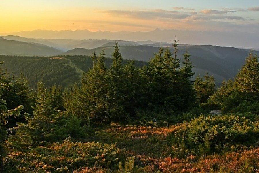 Turistická mapa | HIKING.SK