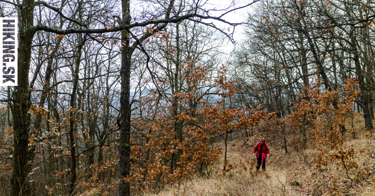 Túra: Val obrov, Feľaťa a iné záhady Hontu | HIKING.SK