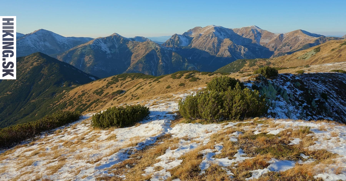 Fotka: Holý vrch - Vysoké a Belianske Tatry - foto 64653 | HIKING.SK