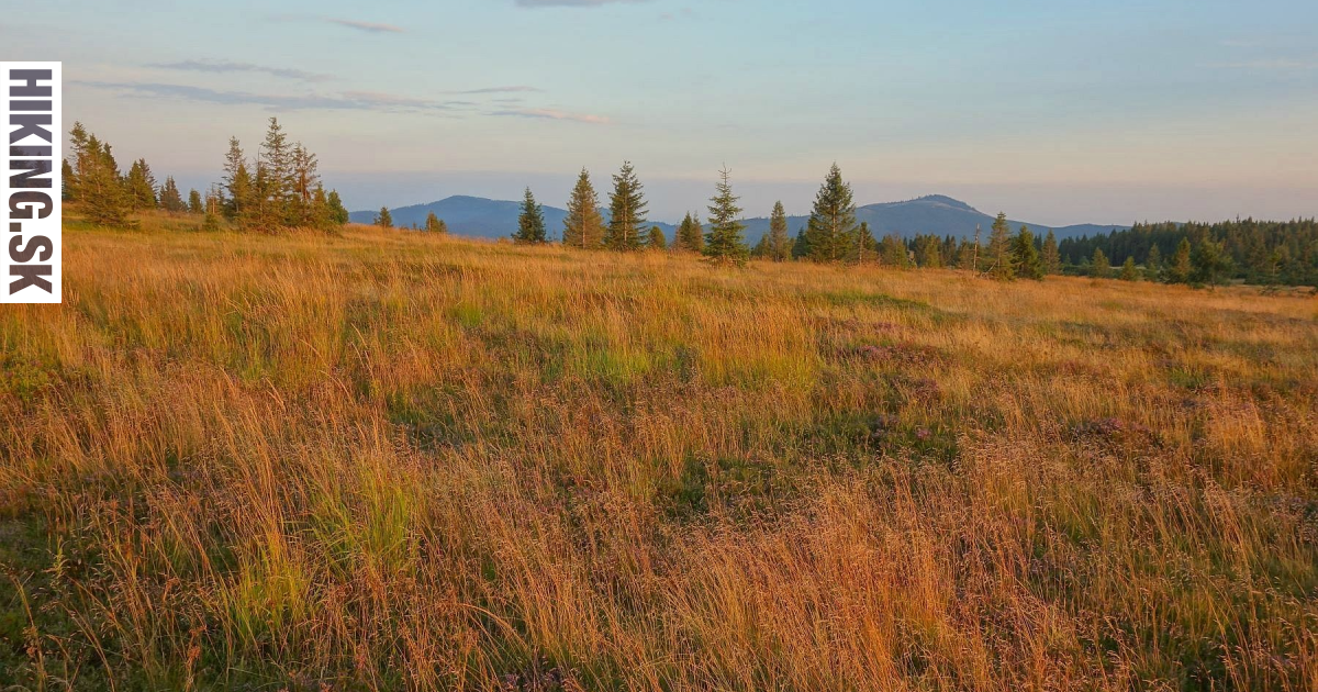 Fotka: Pod Hekerovou - Volovské vrchy - foto 65975 | HIKING.SK