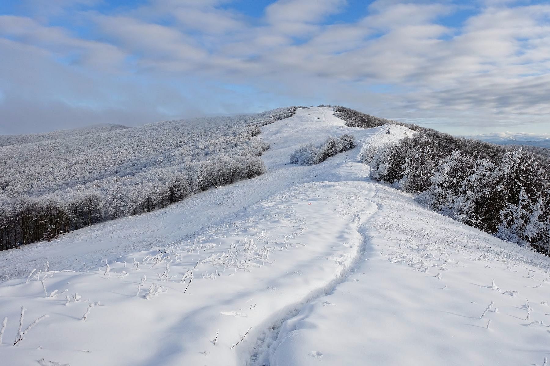 Fotka: Pod Ďurkovcom - Bukovské vrchy - foto 72917 | HIKING.SK