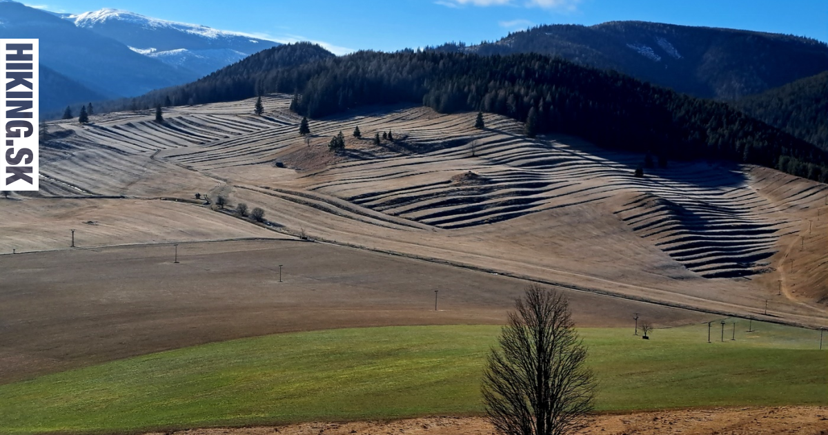 Fotka: Mozaika februárovej prírody - Nízke Tatry - foto 72882 | HIKING.SK