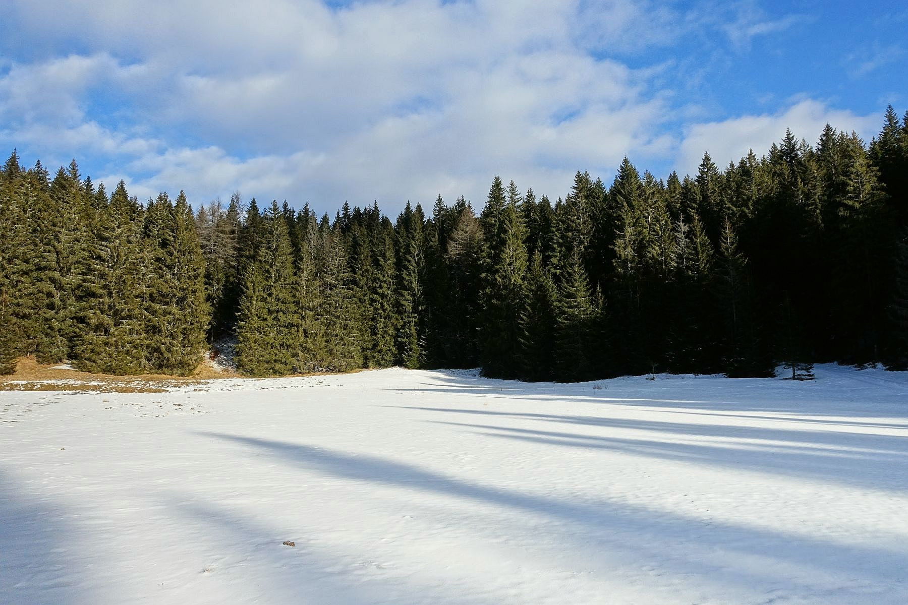 Fotka: Tichou Planinou - Muránska planina - foto 73332 | HIKING.SK
