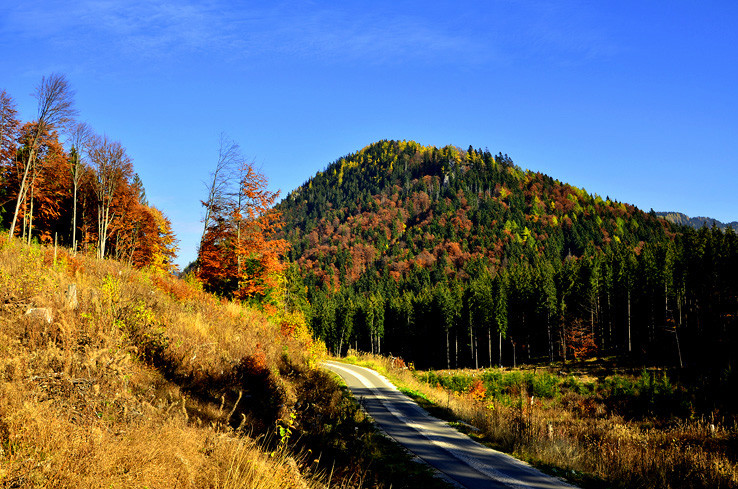 Fotka: Jeseň na Muránskej planine - Muránska planina - foto 53718 ...
