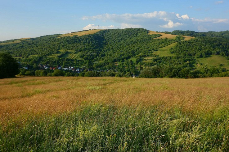 Fotka: Leto pod Vysokou I - Nízke Beskydy - foto 58596 | HIKING.SK