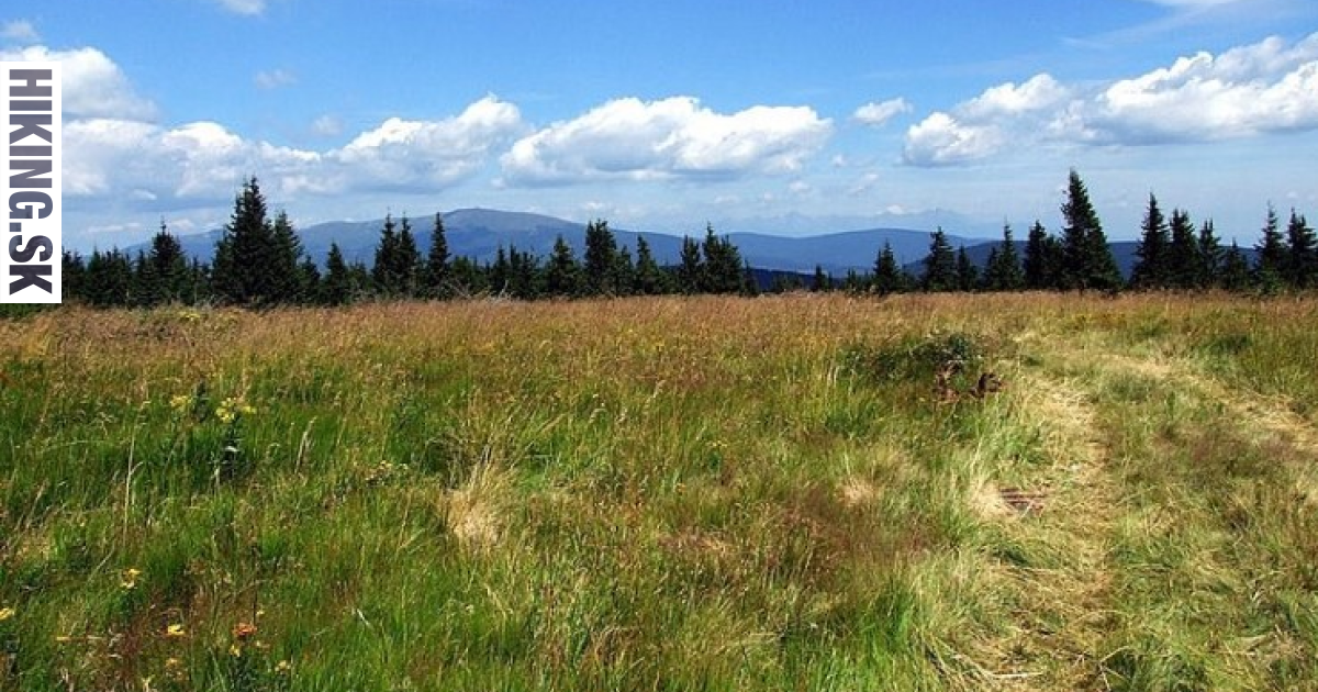 Fotka: Letná krajina - Tatry - foto 6530 | HIKING.SK