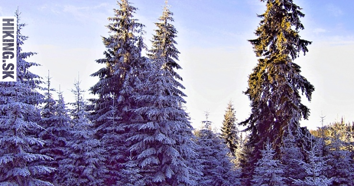Fotka: Pod Chočom - Veľká Fatra a Choč - foto 50196 | HIKING.SK