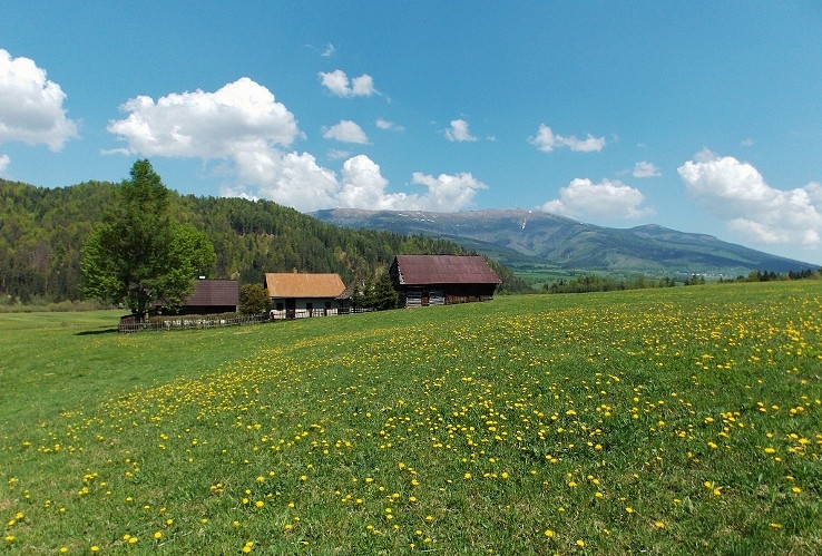Fotka: Jarná lúka - Muránska planina - foto 60107 | HIKING.SK