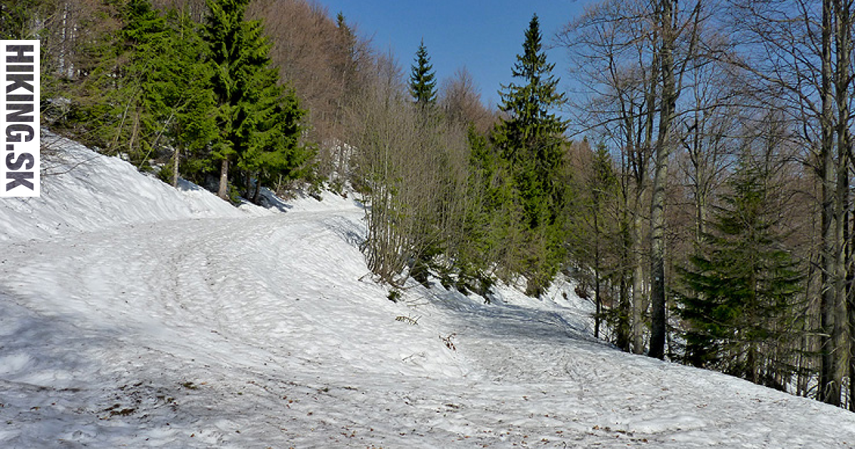 Fotka: Pod Zlatou studňou - Kremnické vrchy - foto 39875 | HIKING.SK