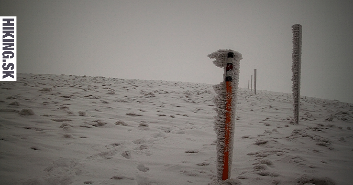 Fotka: Na Ploskú - Malá Fatra - foto 21540 | HIKING.SK