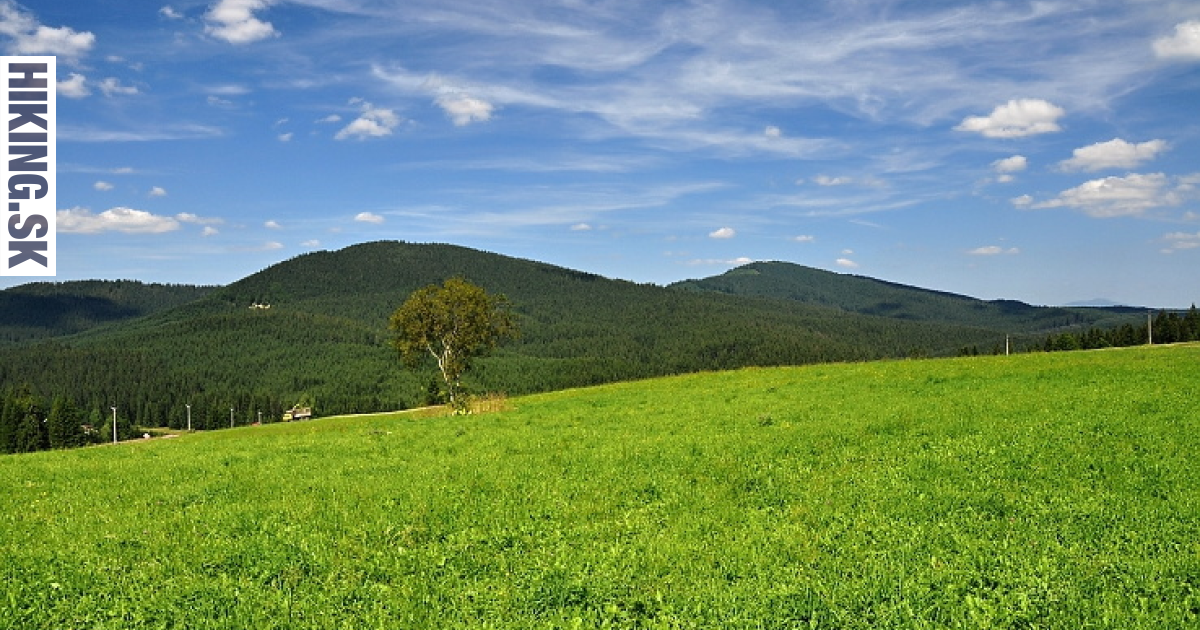 Fotka: Leto pod Úšustom - Oravská Magura - foto 53092 | HIKING.SK
