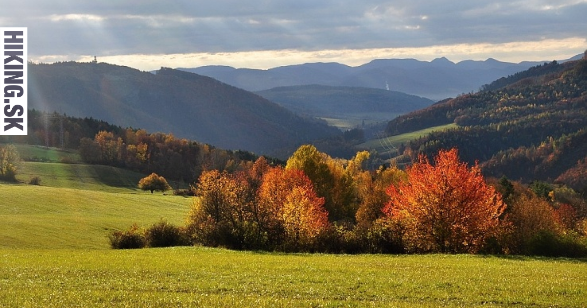 Fotka: Nad Zubákom - Biele Karpaty - foto 56915 | HIKING.SK