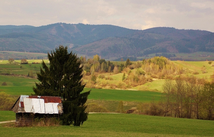 Fotka: Jarná príroda - Poľana - foto 46642 | HIKING.SK