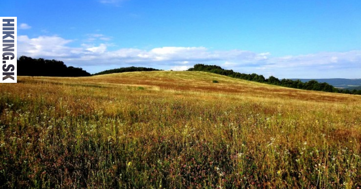 Fotka: Cerovské louky nad obcí Blhovce - Cerová vrchovina - foto 48120 ...
