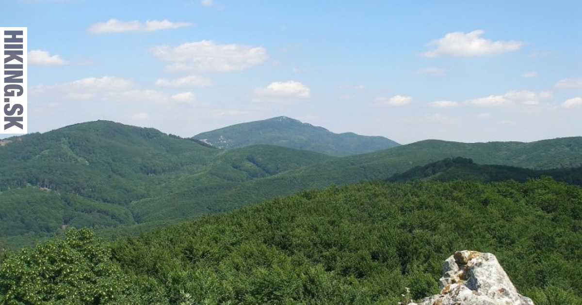 Fotka: pod Vysokou - Malé Karpaty - foto 39808 | HIKING.SK