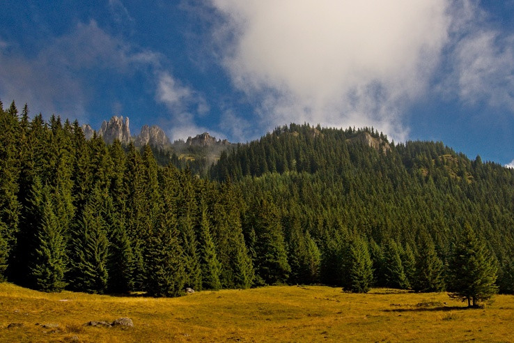 Fotka: cimburie - Tatry - foto 42342 | HIKING.SK