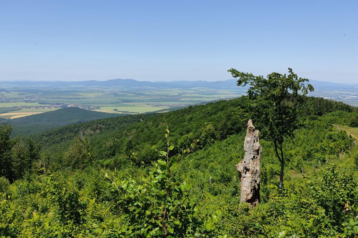 Turistická oblasť Tribeč | HIKING.SK