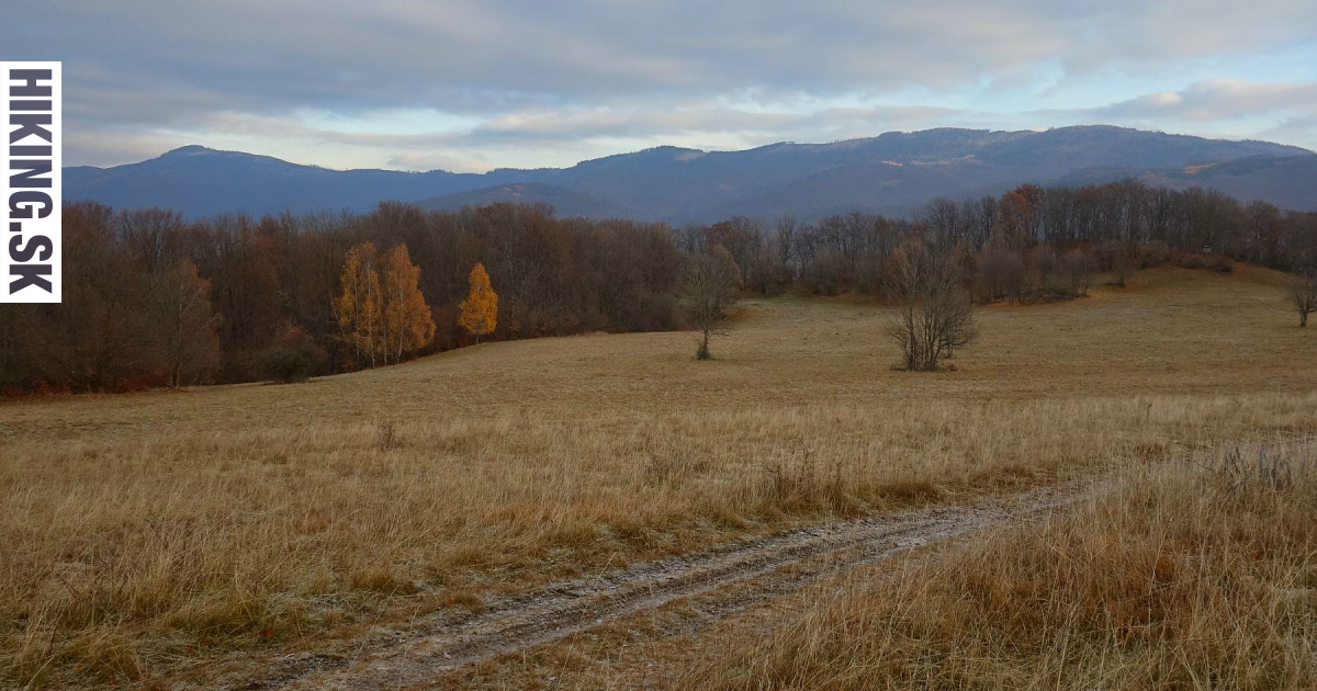 Fotka: Na severnej strane - Slovenský kras - foto 67021 | HIKING.SK