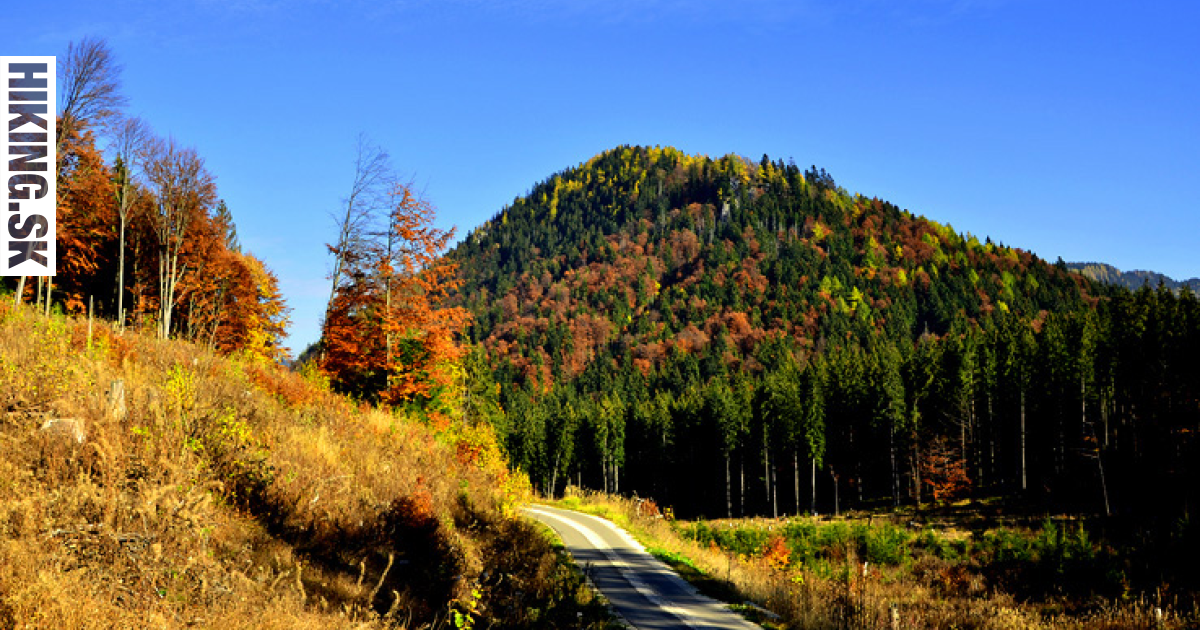 Fotka: Jeseň na Muránskej planine - Muránska planina - foto 53718 ...