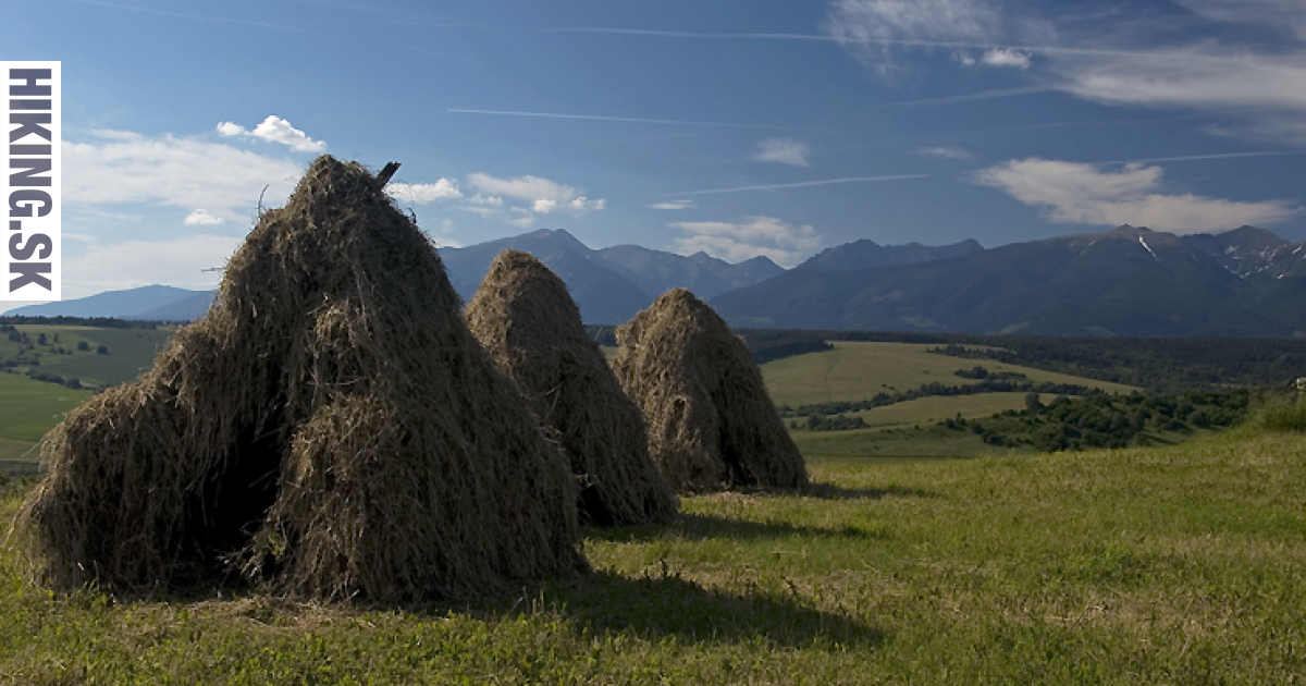Fotka: Kopce a "kopce" - Západné Tatry - foto 13080 | HIKING.SK
