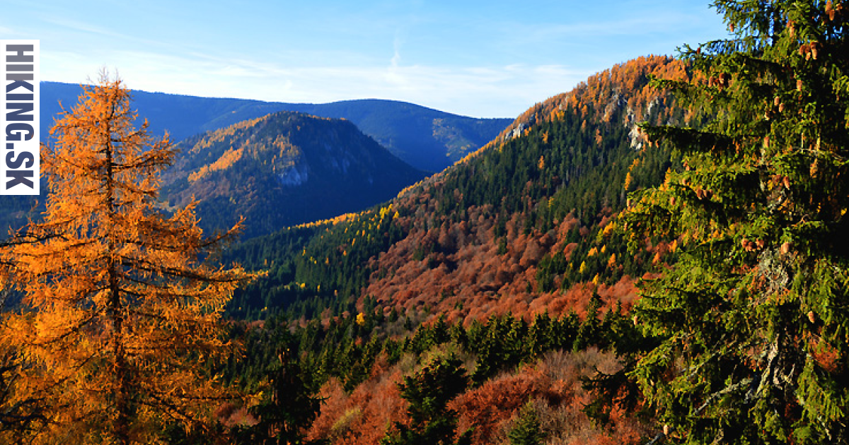 Fotka: Jeseň na Muránskej planine - Muránska planina - foto 53803 ...