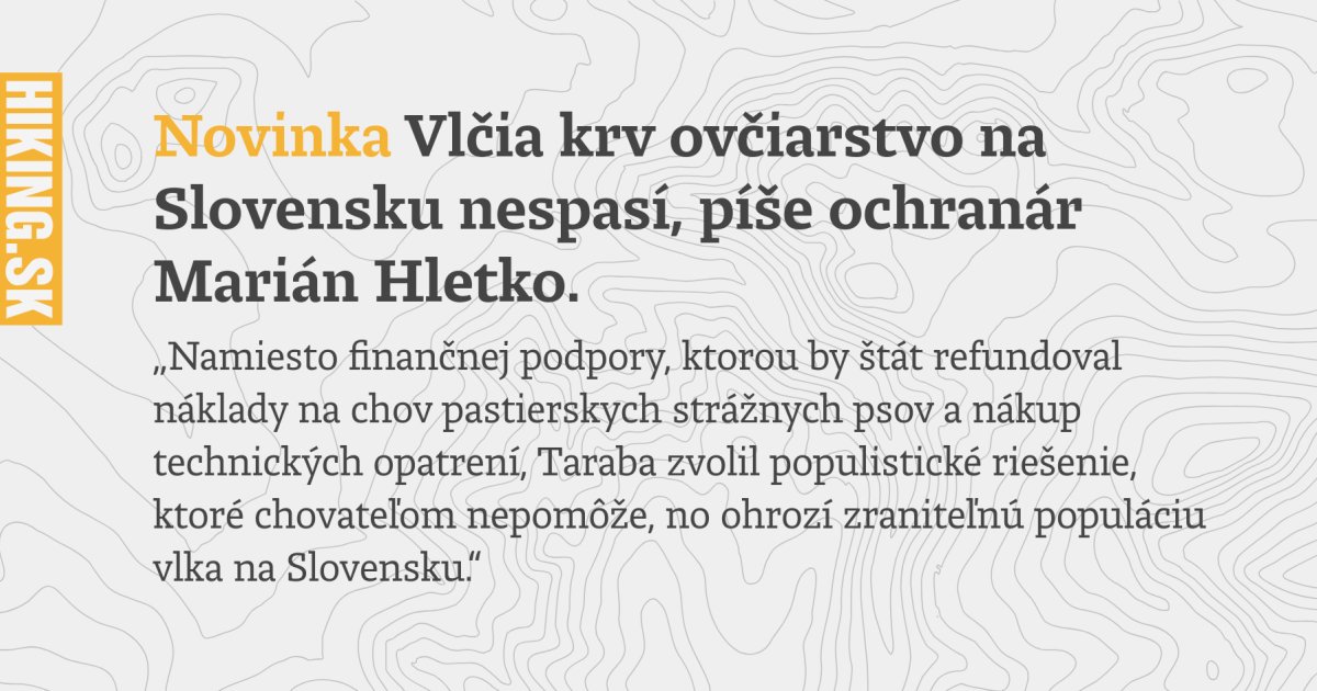 Novinka: Vlčia krv ovčiarstvo na Slovensku nespasí, píše ochranár ...