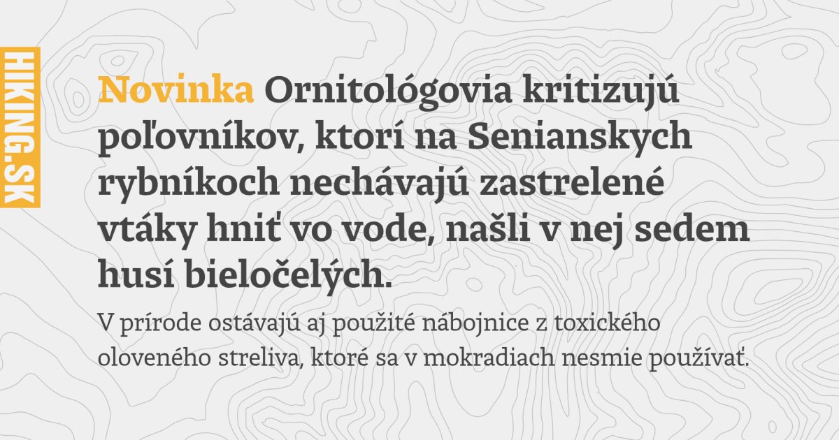 Novinka: Ornitológovia kritizujú poľovníkov, ktorí na Senianskych ...